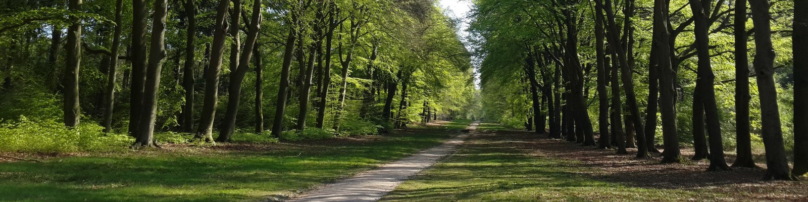 Vanaf 10 oktober 2023 wisselen we informatie uit via JeLeefomgeving.nl ...