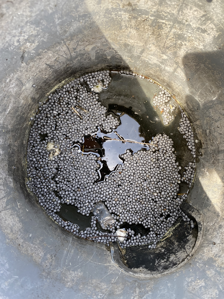 Plastic bolletjes op uw terrein - OMWB